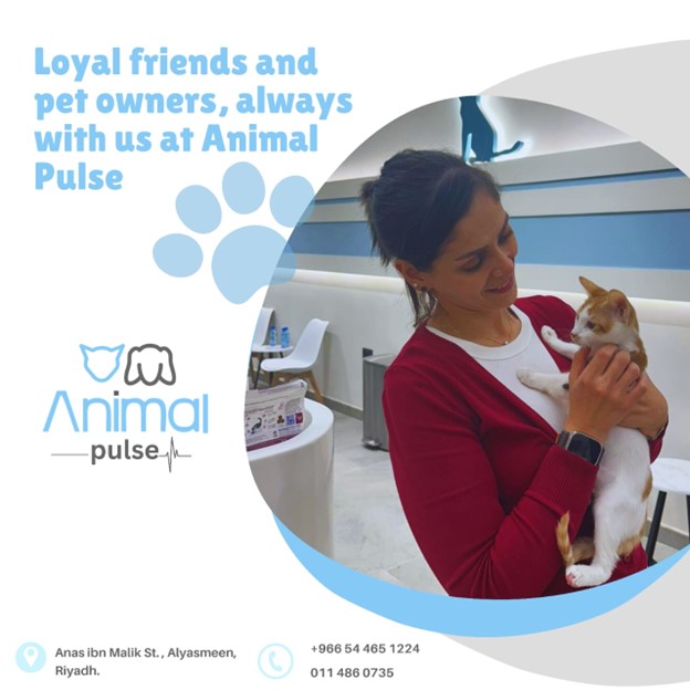 animal pulse hospital